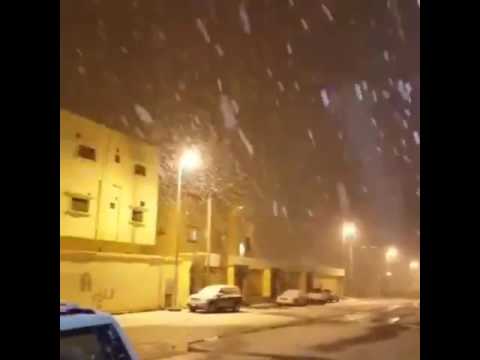 Video - Snowfall in KSA - KUWAIT UPTO DATE : KUWAIT UPTO DATE