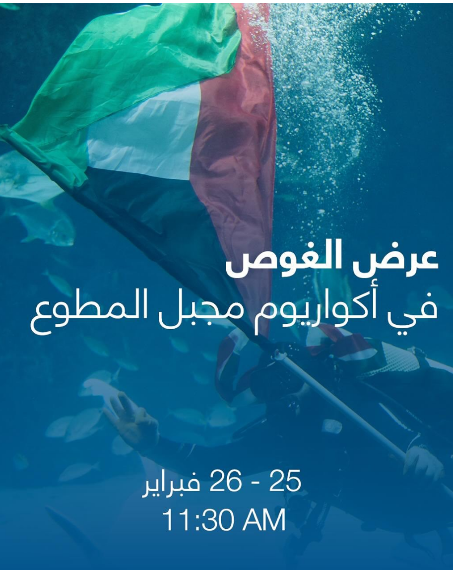 Diving Show At Majbel Al-Mutawa Aquarium - KUWAIT UPTO DATE : KUWAIT ...